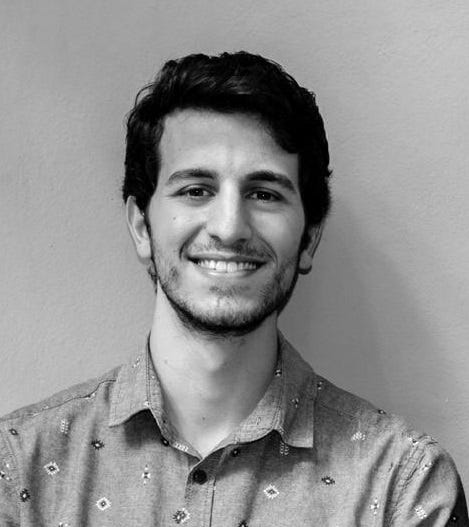 Renato Haidamous | Substack