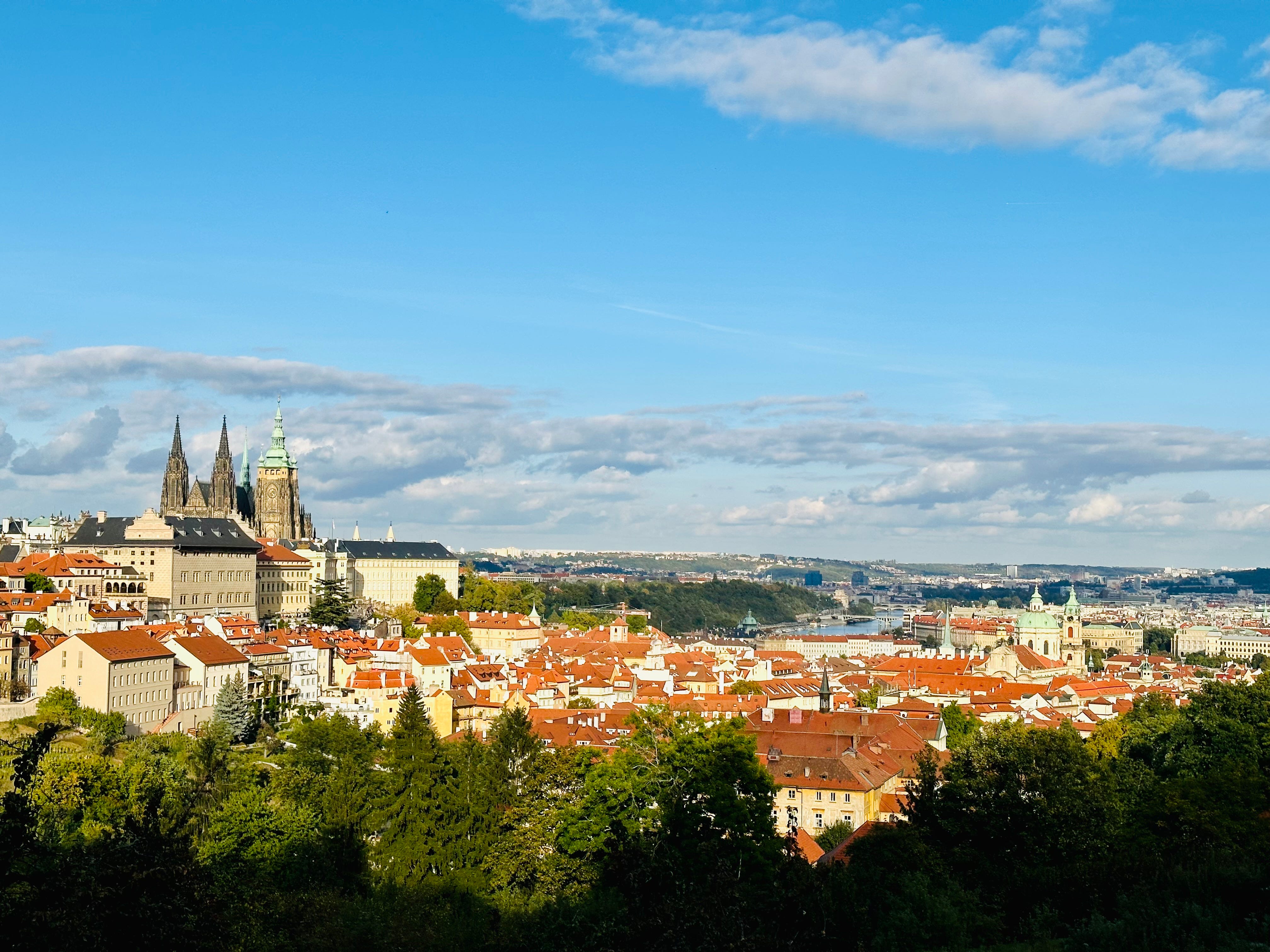 Czech Yourself - by Joy Nicholas - Joy in the World