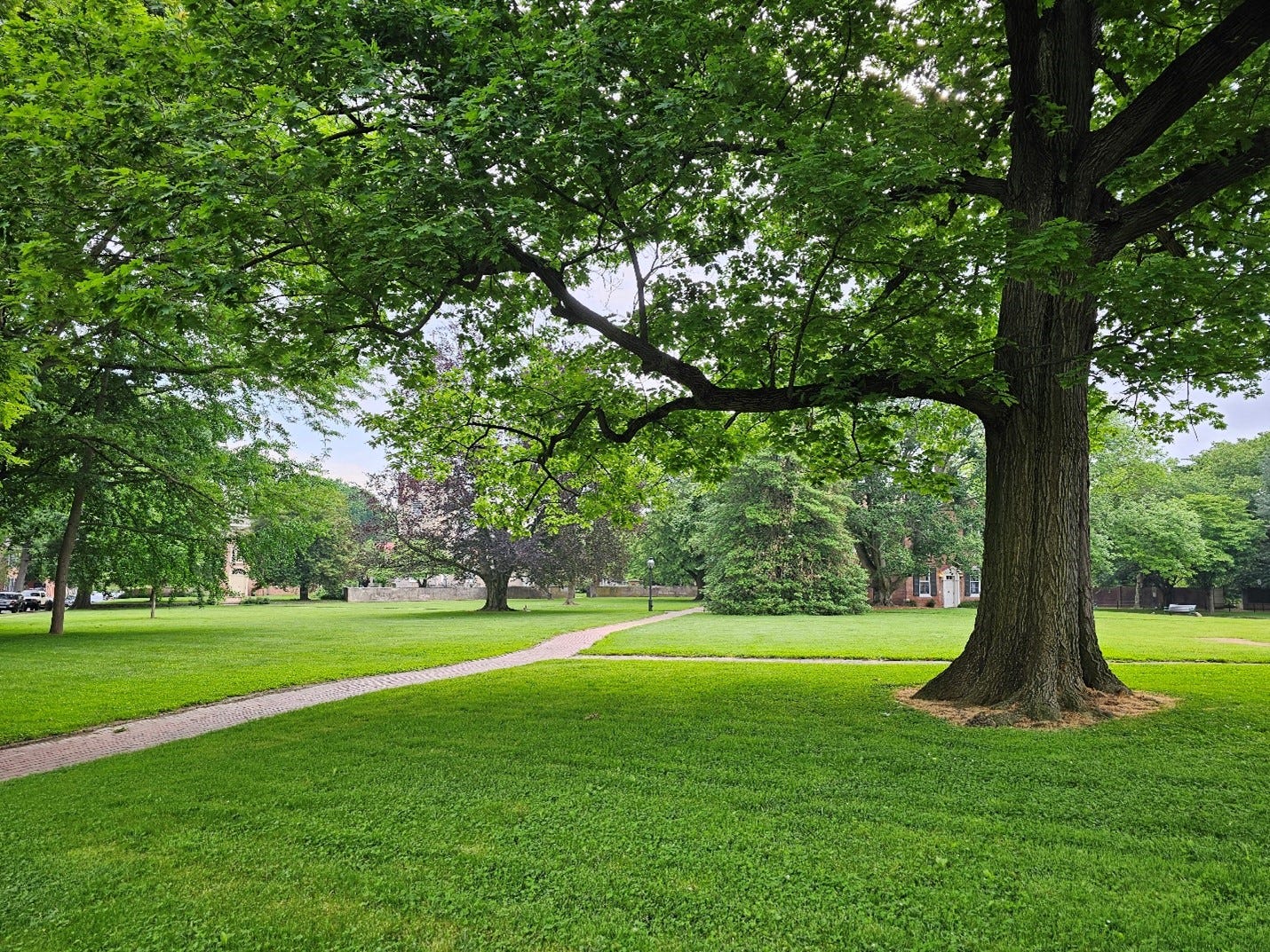 New Castle's Historic Green - by Linda Suskie
