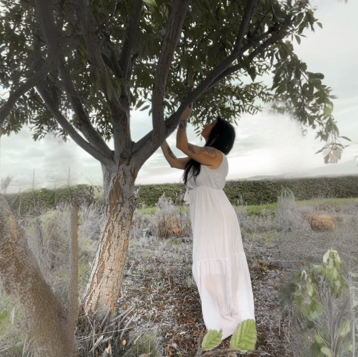 Kimberley Murray | Substack