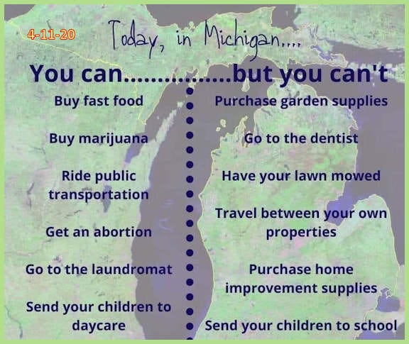 PLANDEMIC MEMORIES No. 1 - by J. Arnold - Liar's World