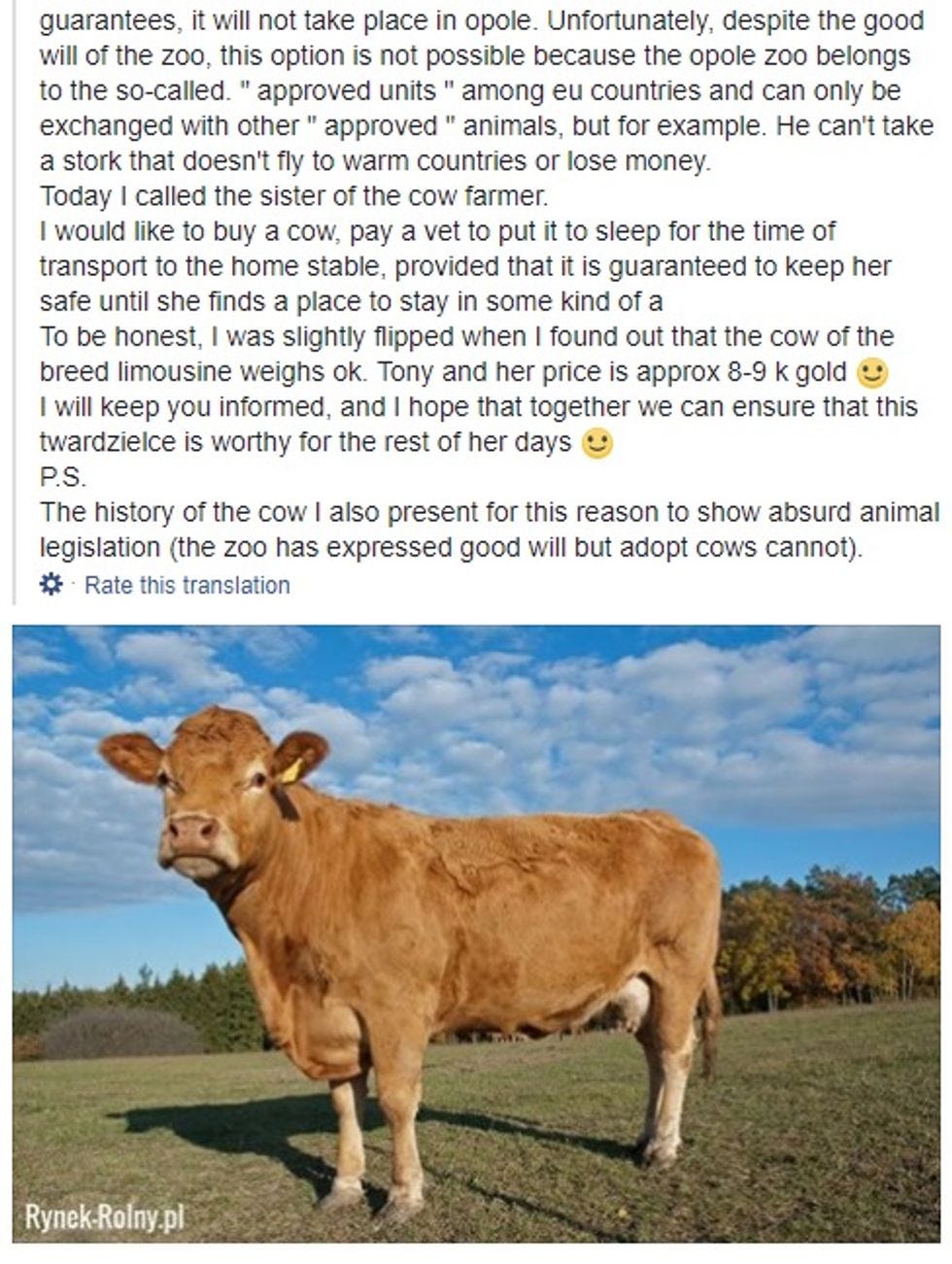 Be The Polish Freedom Cow You Want To See In The World!