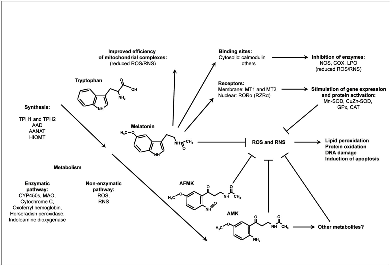 Earthed - by Cameron Borg - Ricci Flow Nutrition