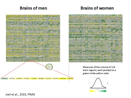 Brain Mosaic - by Daphna Joel - A World Without Gender