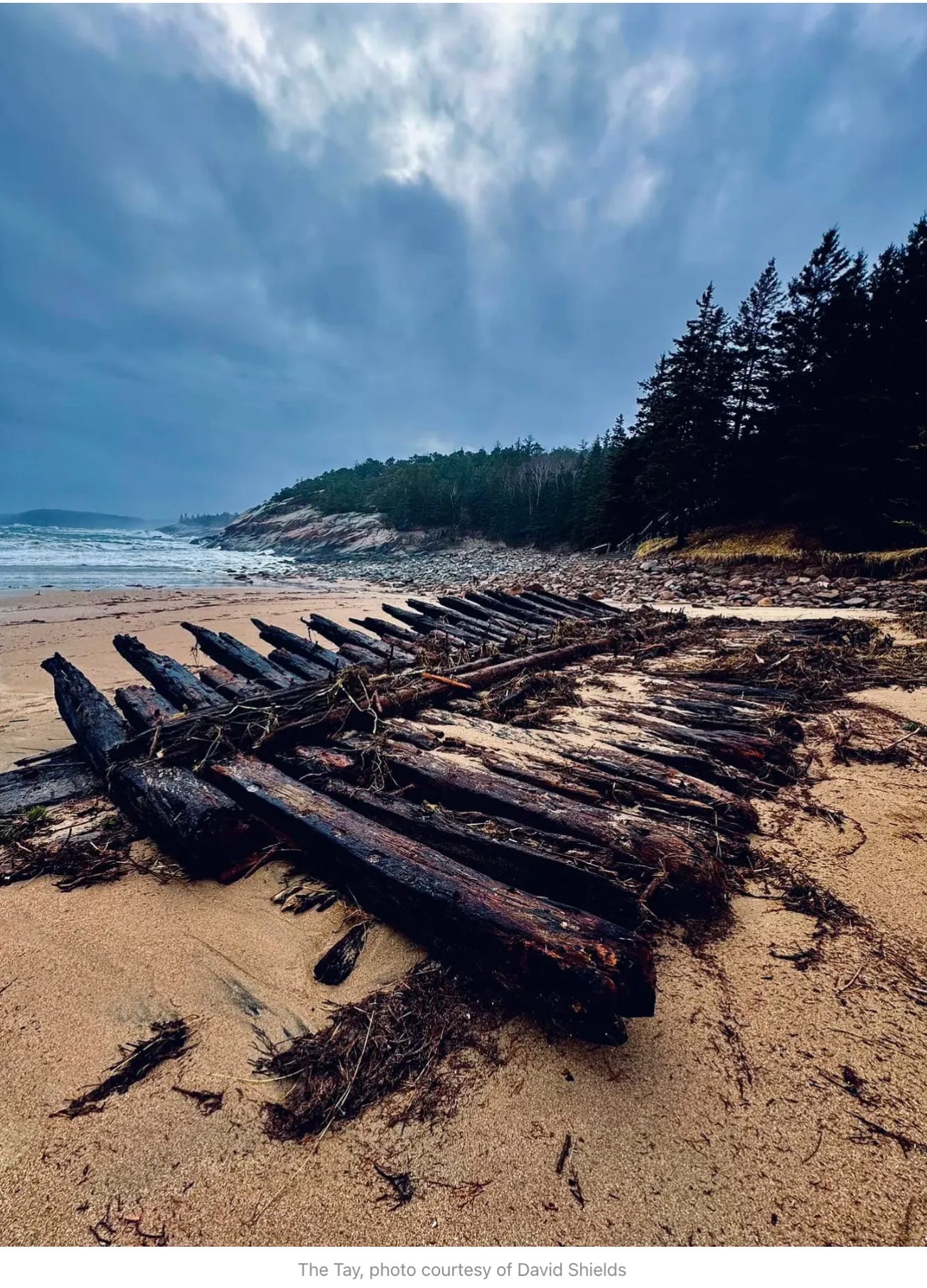The Tay Is Gone - by Carrie Jones - Bar Harbor Story