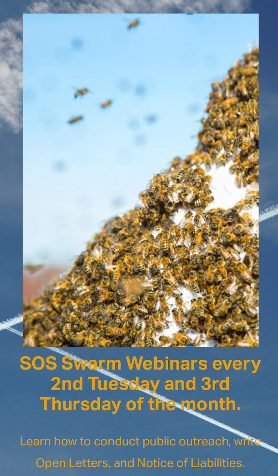 REINETTE SENUM is a friend of mine! 'Simone Gold's $15M Defamation ...