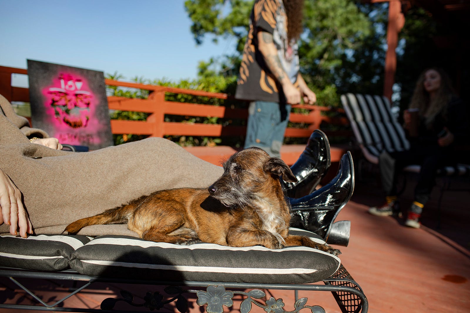 Drea Uncensored - by Jessica Reed Kraus - House Inhabit