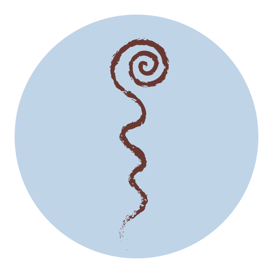 The Flâneuse | Substack