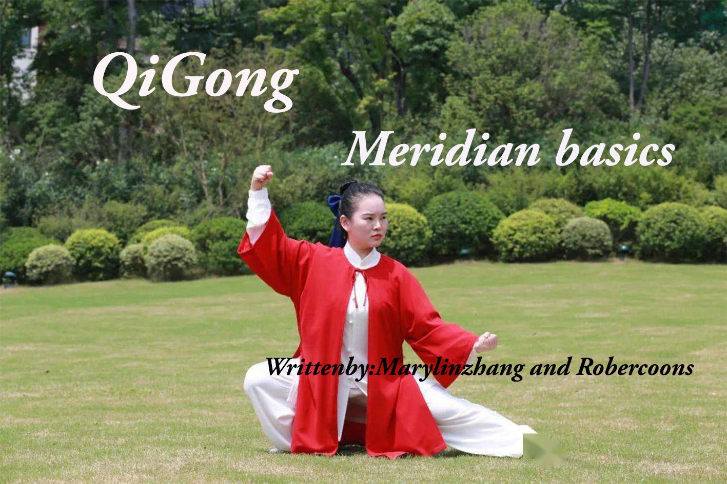 QiGong Meridian Basics