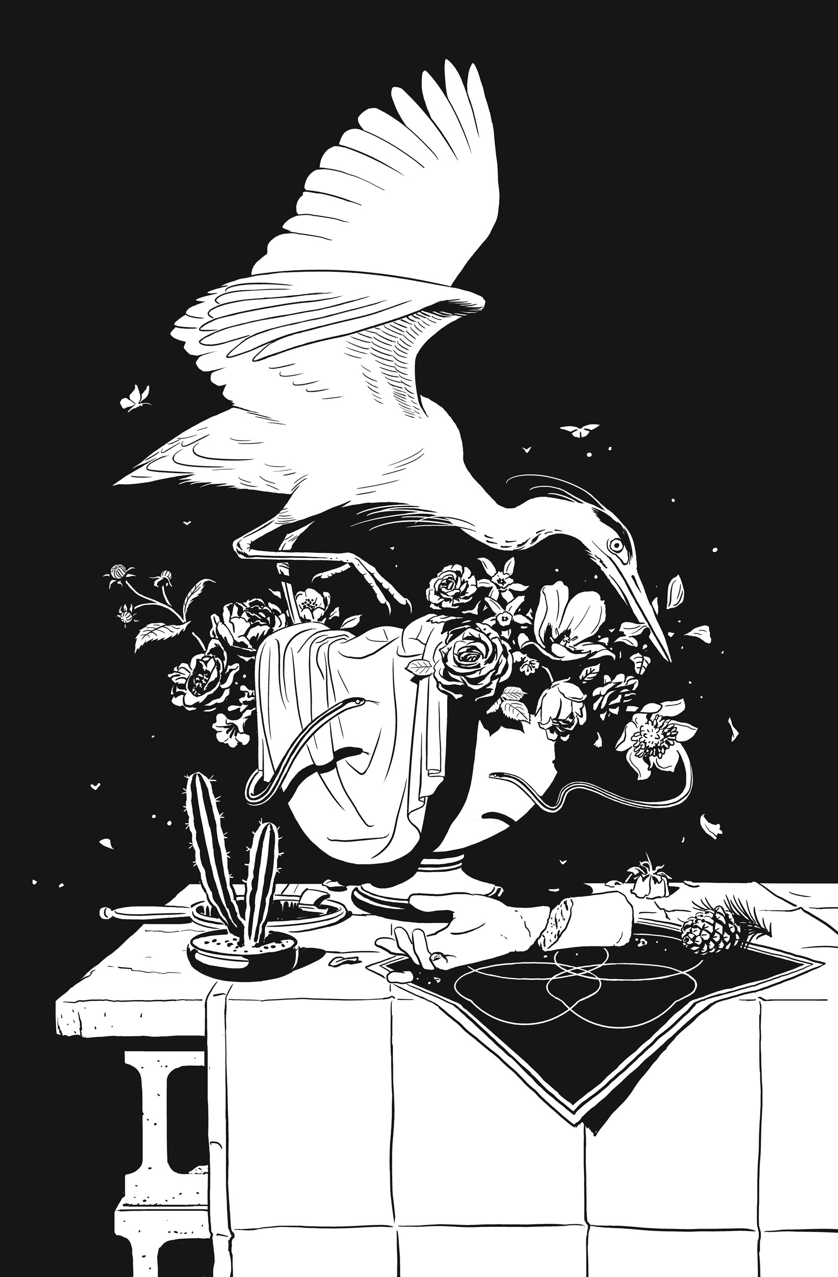 Kikuo Johnson - by Aaron Lloyd Barr - Aaron’s Substack