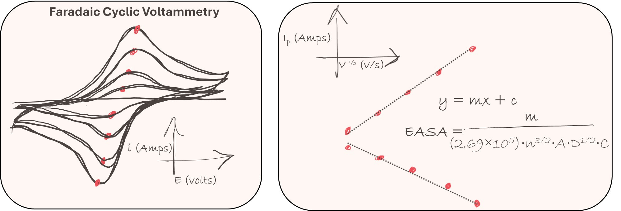 Calculating the Electroactive Surface Area