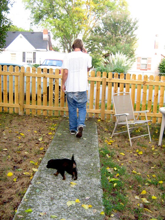 At Home With Baby Cowboy - by Daryl Sanders