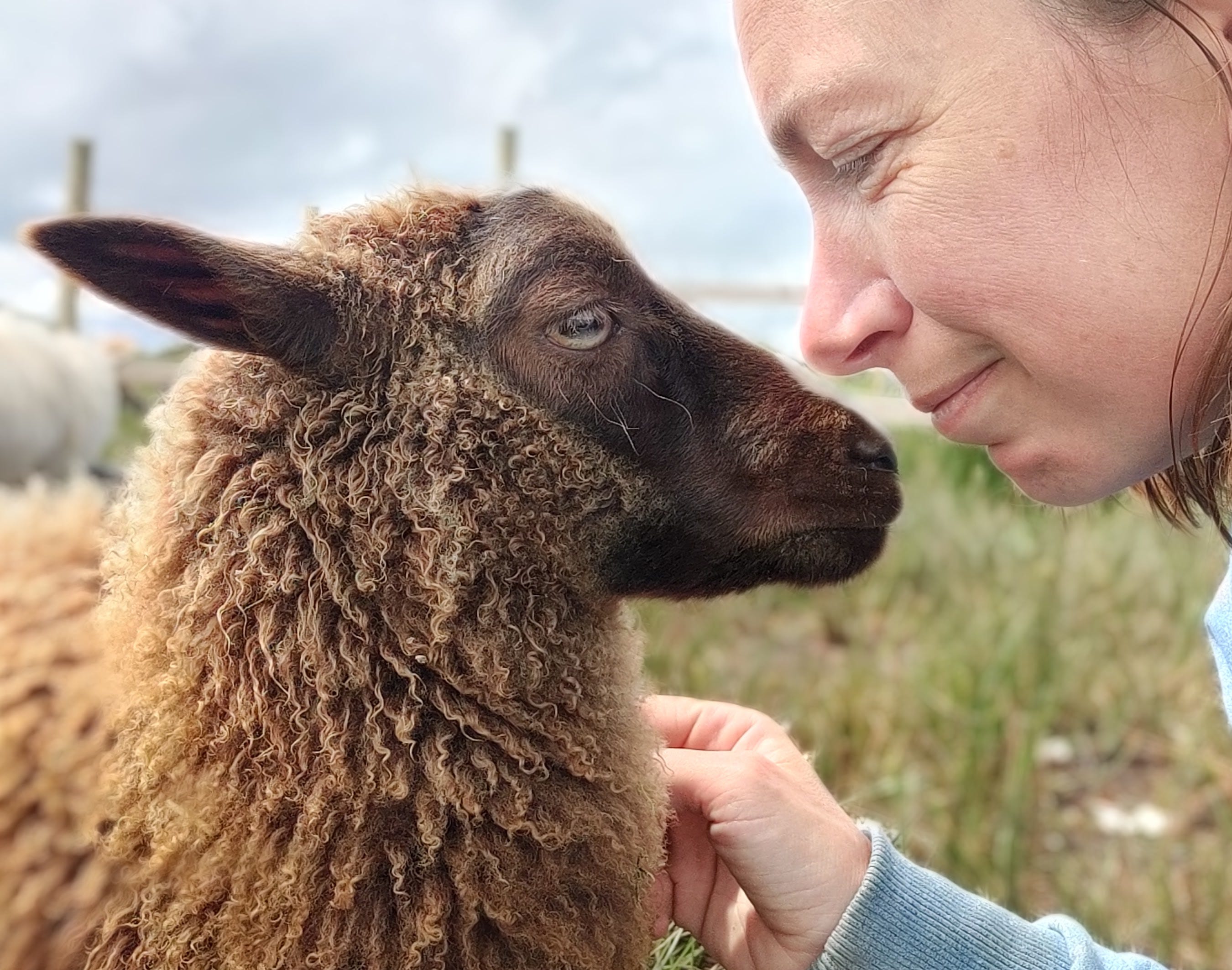 Tiny Ruby - by Carly Wright