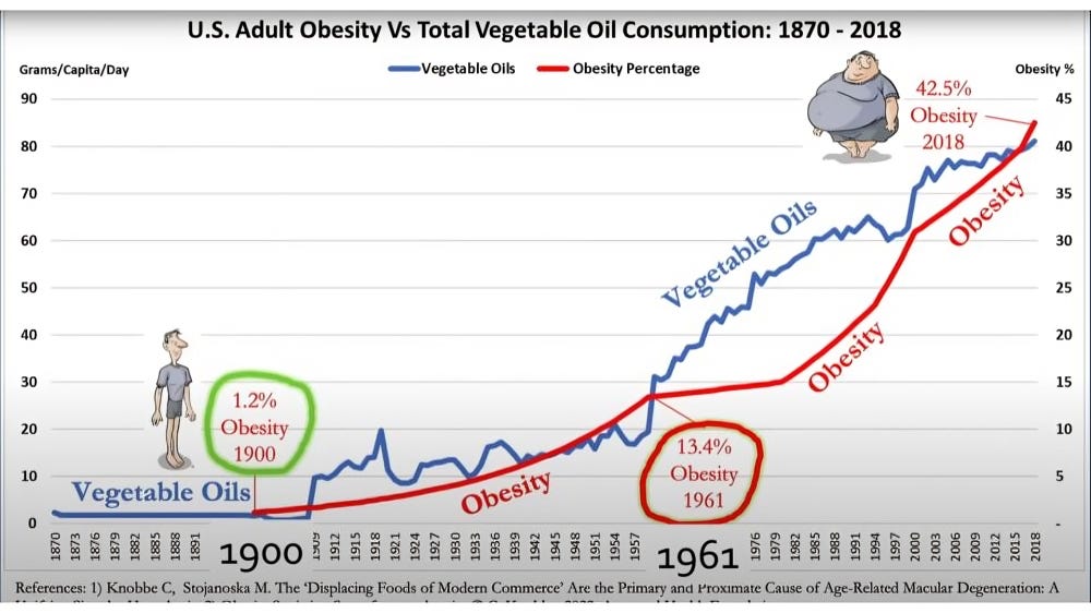 Why Are We So Fat and Unhealthy? Seed Oils Explained