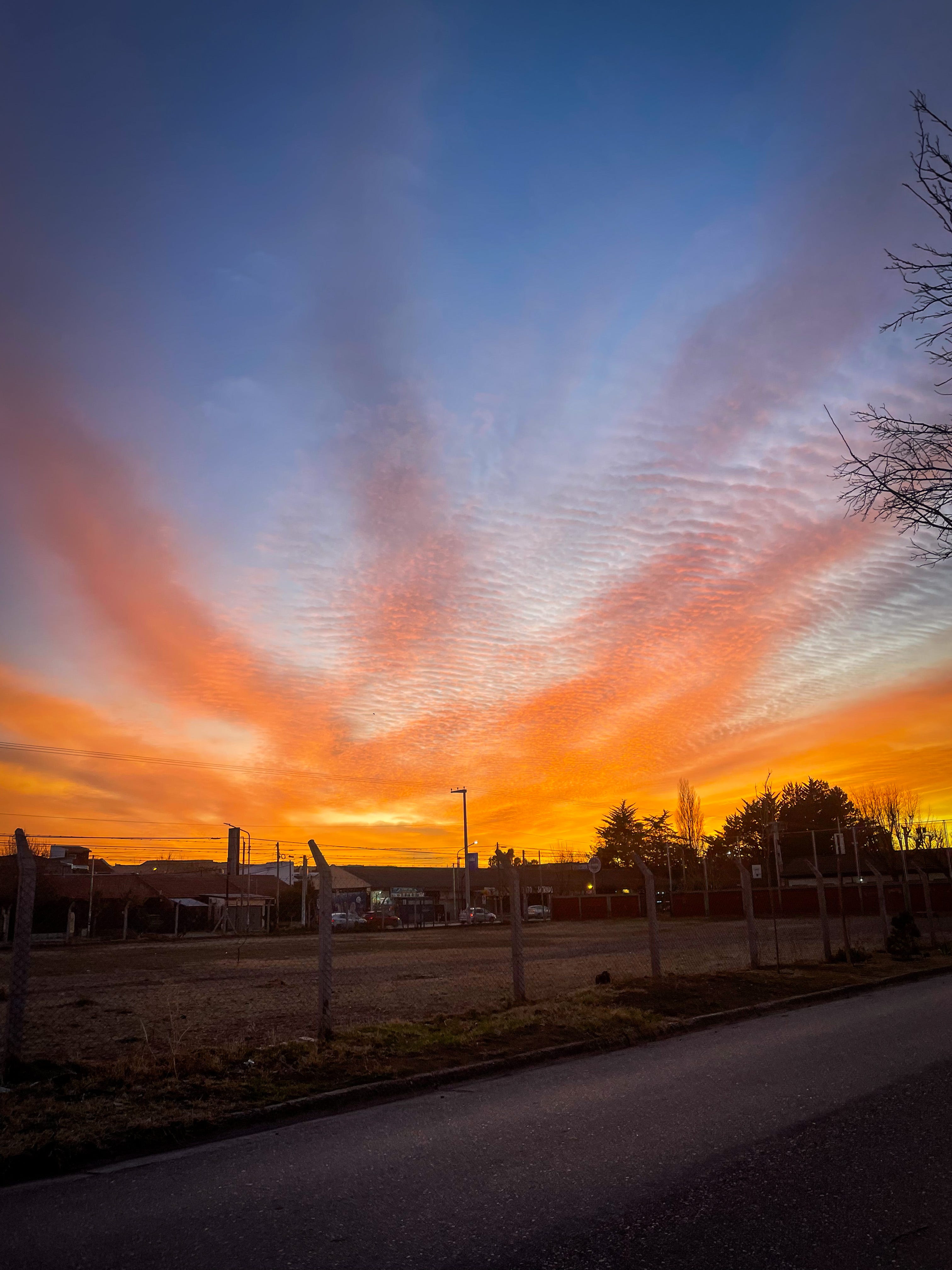 Mónica y defusión cognitiva - by Marco Vassallo