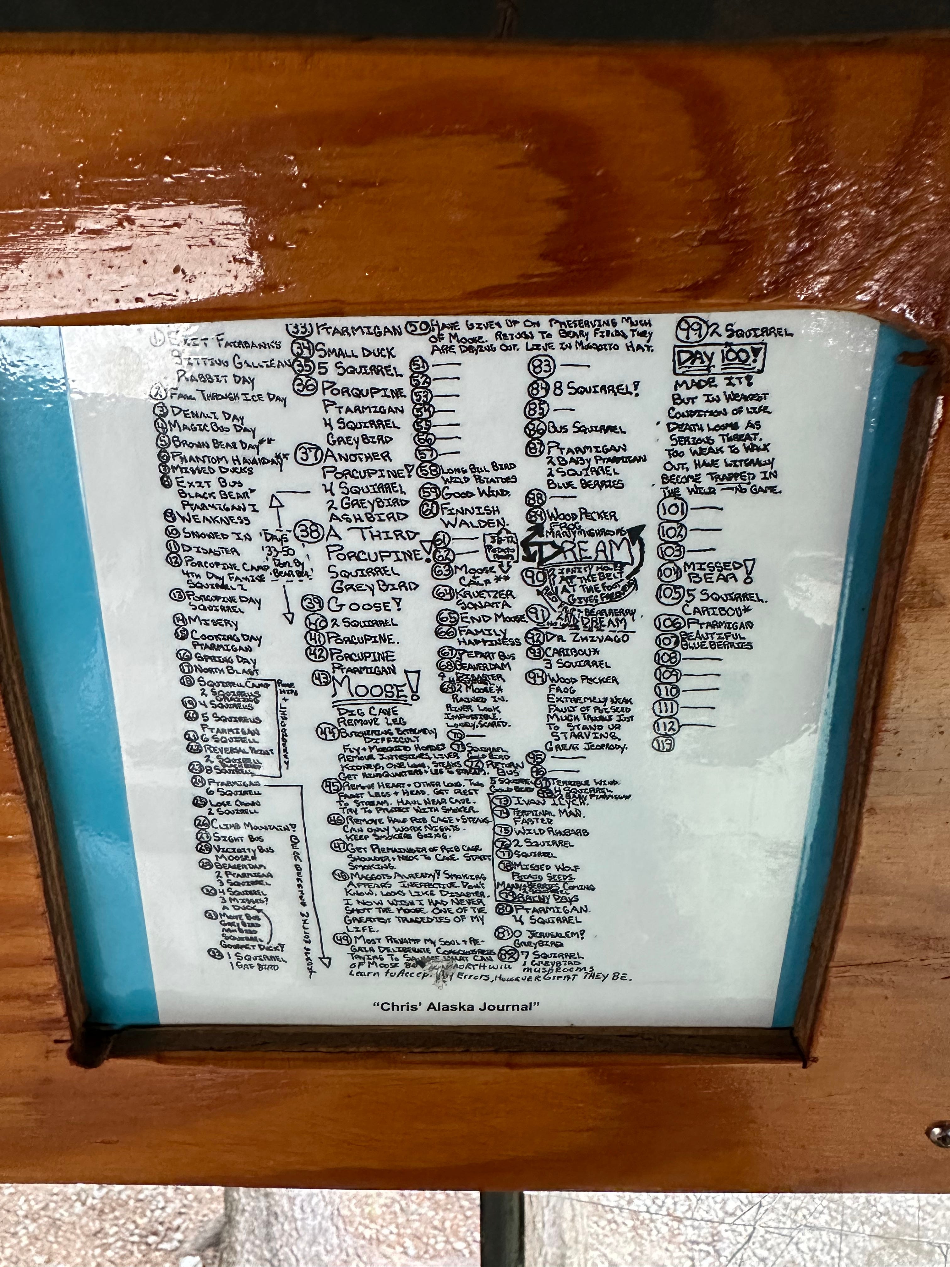 Into the Wild - by Liz Medford - lizexplores.com