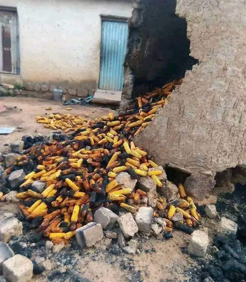 Nigeria: Suspected Fulani militia kill 100 in ongoing attacks