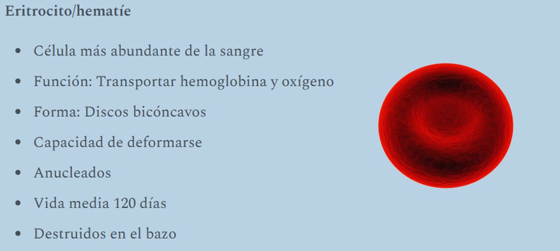 Introducción a la eritropoyesis, leucopoyesis y trombopoyesis