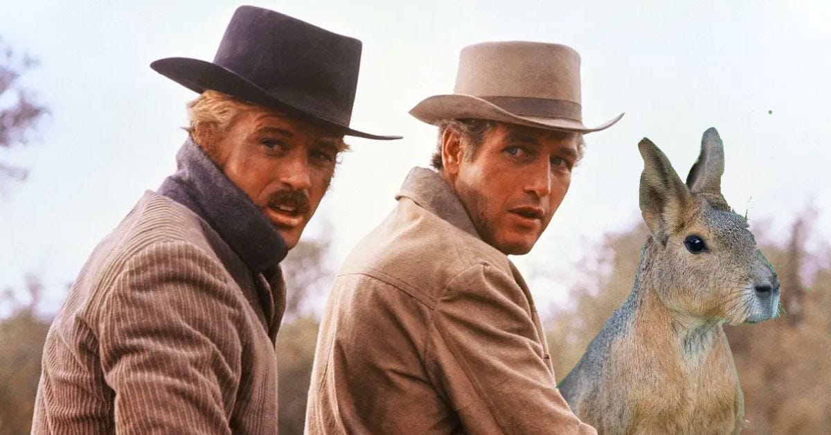 Outlaws flee to freedom in the Southern Cone