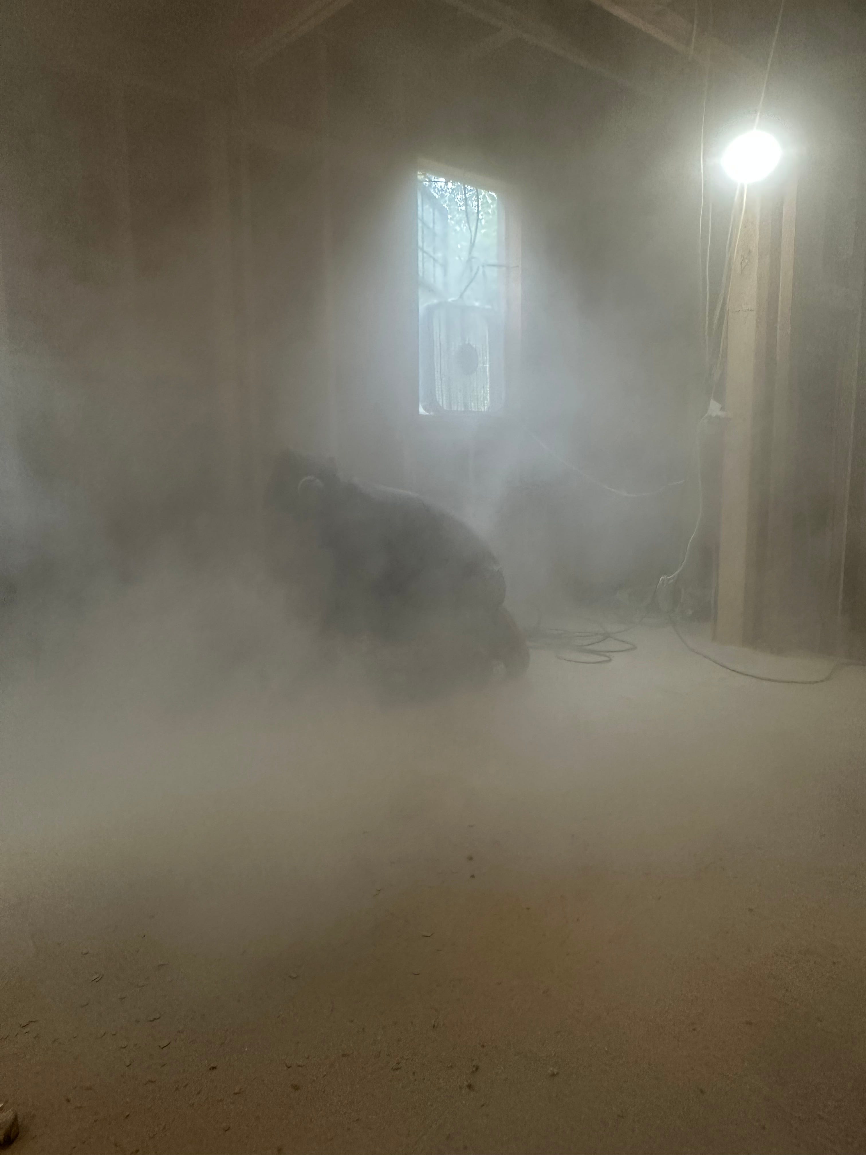 Submarine Lover In A Shrinking World