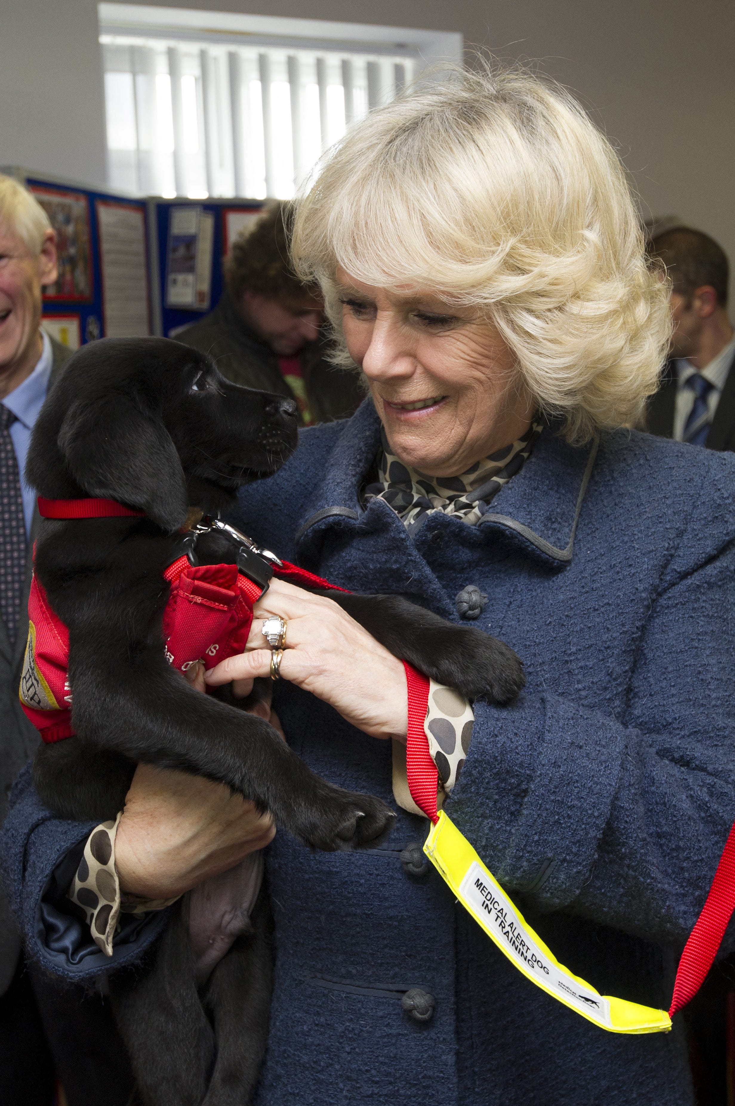 Royal diary: What's coming up this week