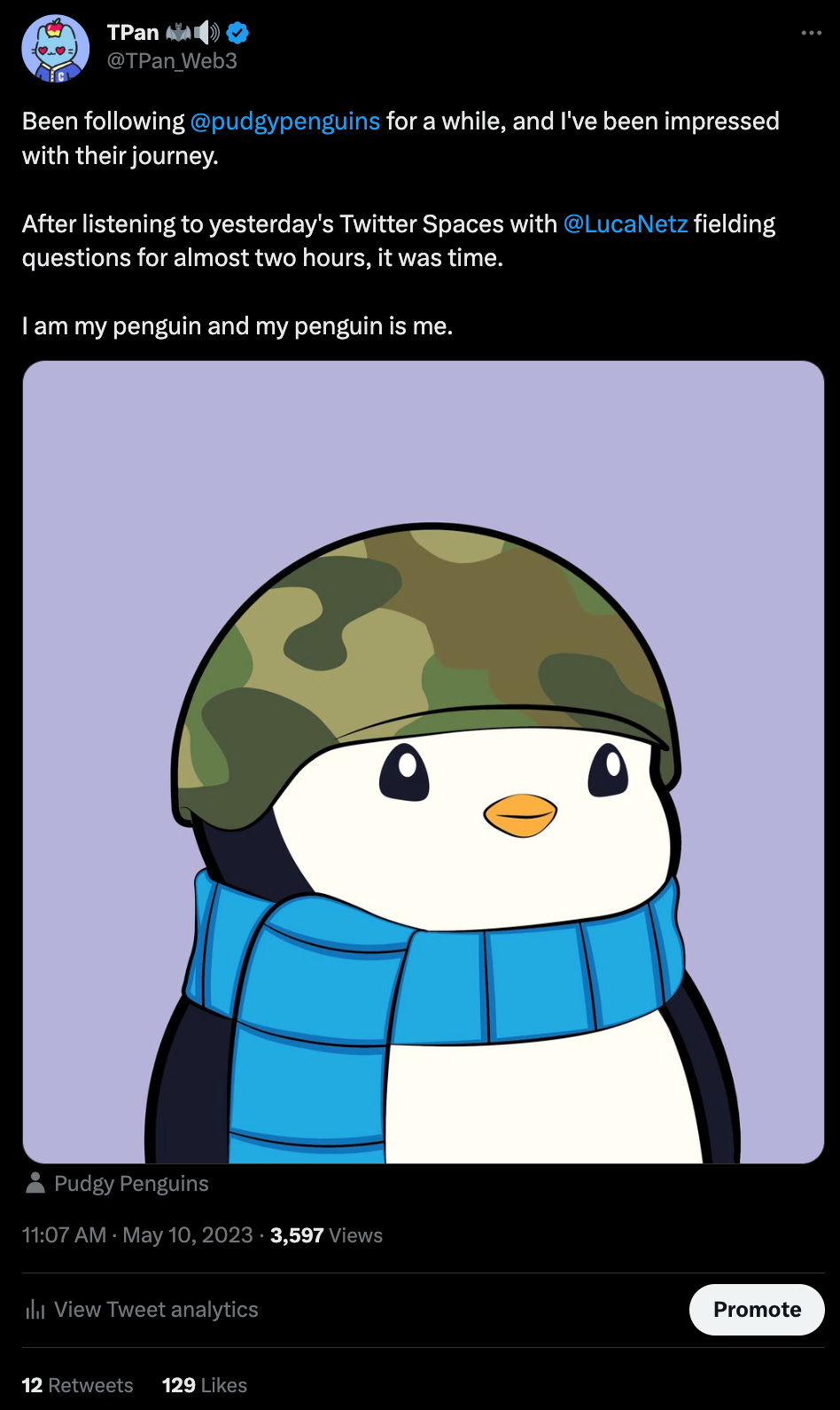 #202: A Pudgy Penguins Welcome - Web3 with TPan