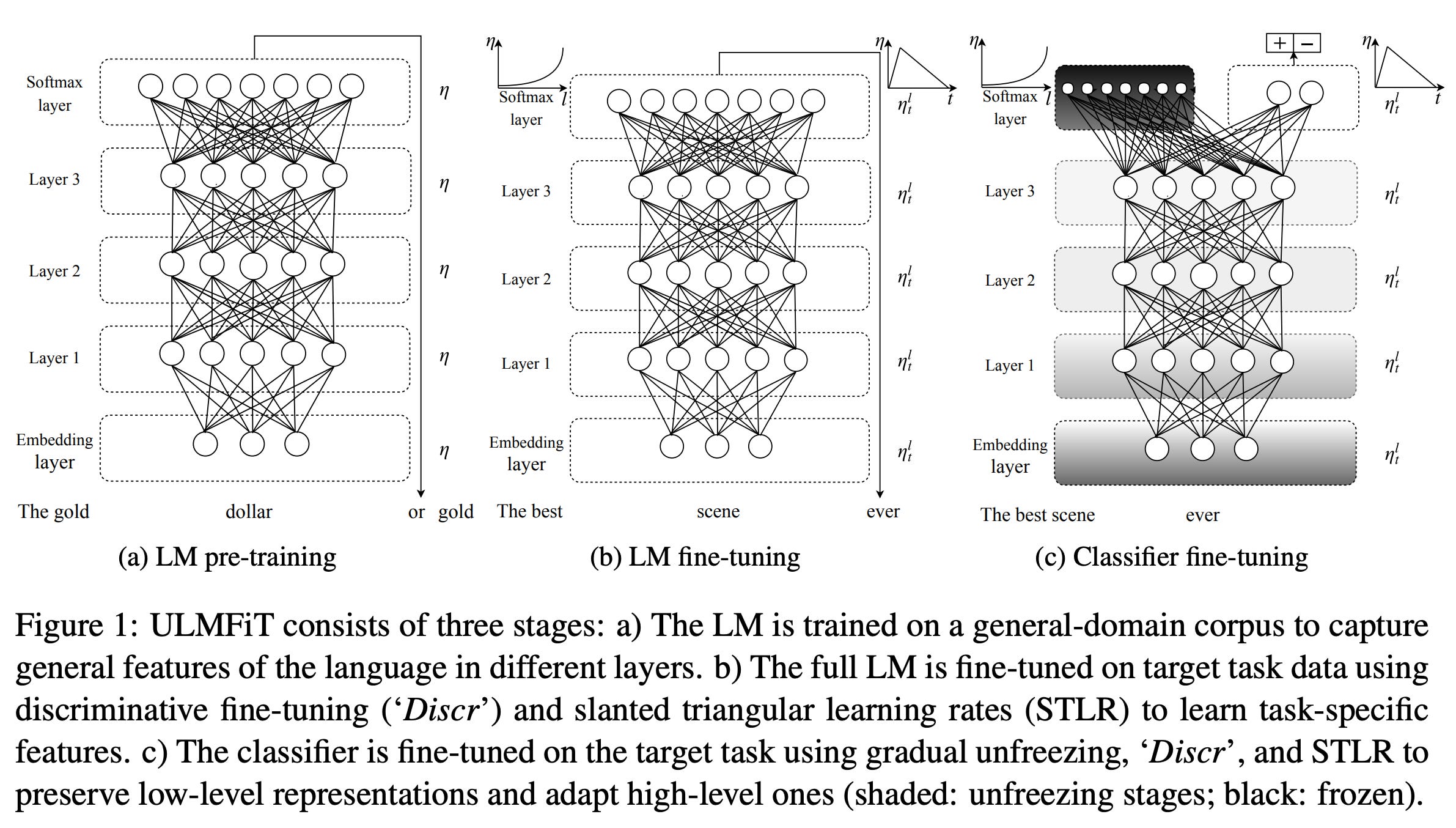 Foundation models for neuroscience - by Patrick Mineault