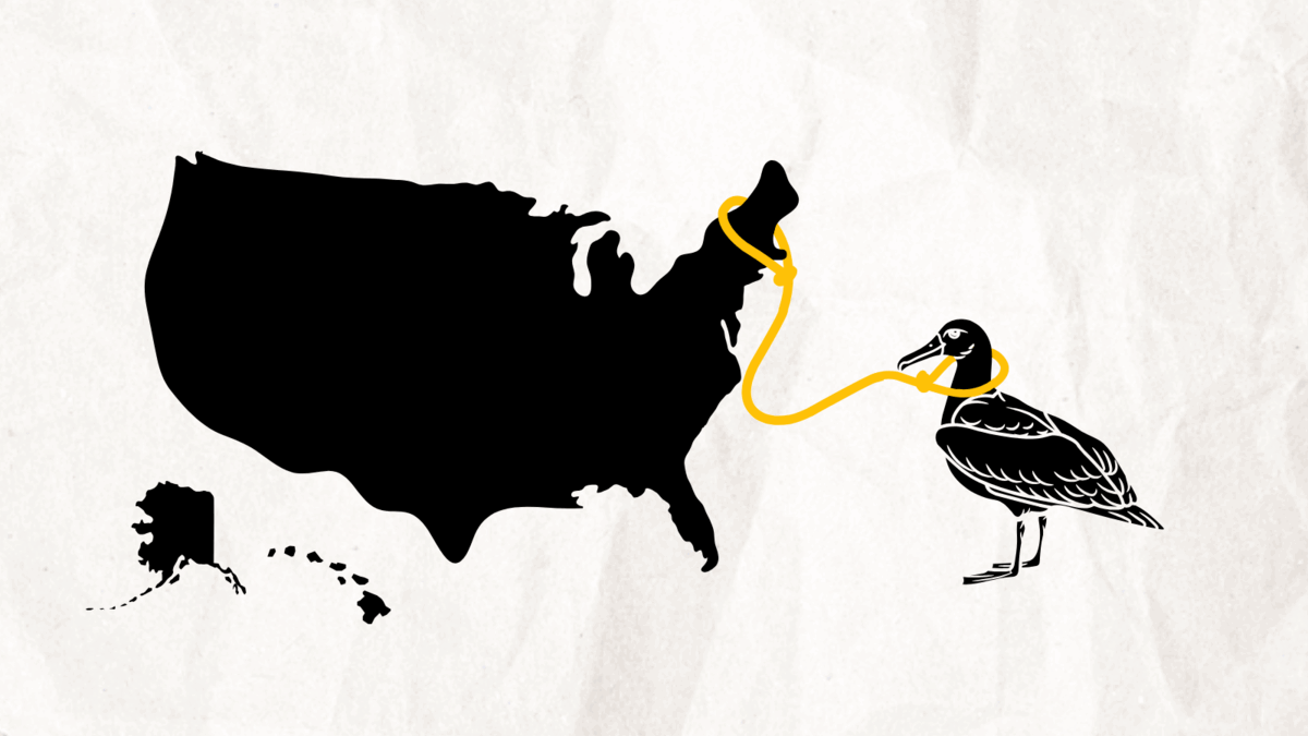 The Albatross Around America’s Neck: - Employers Clinic Commission