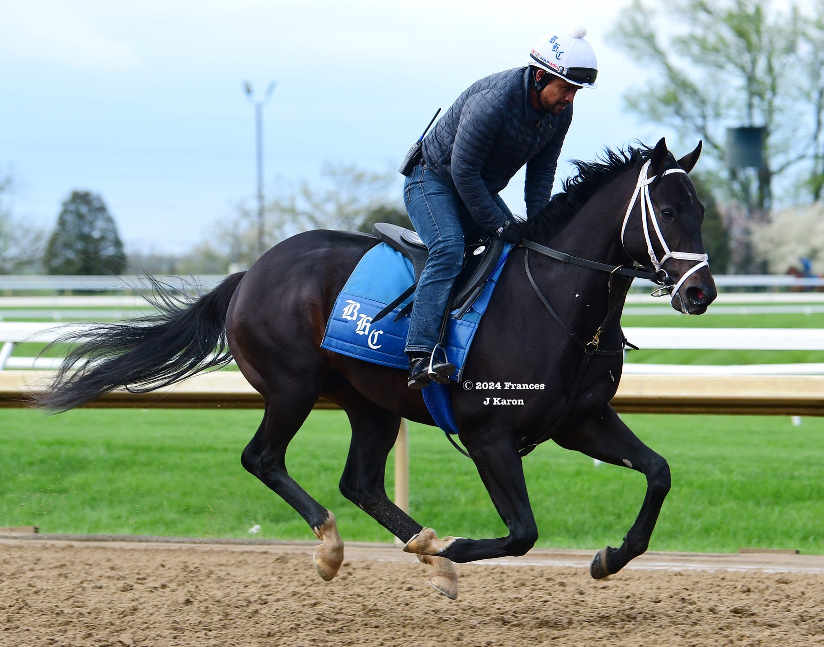 Uncle Mo’s Showcase is the latest Saratoga winner for his family