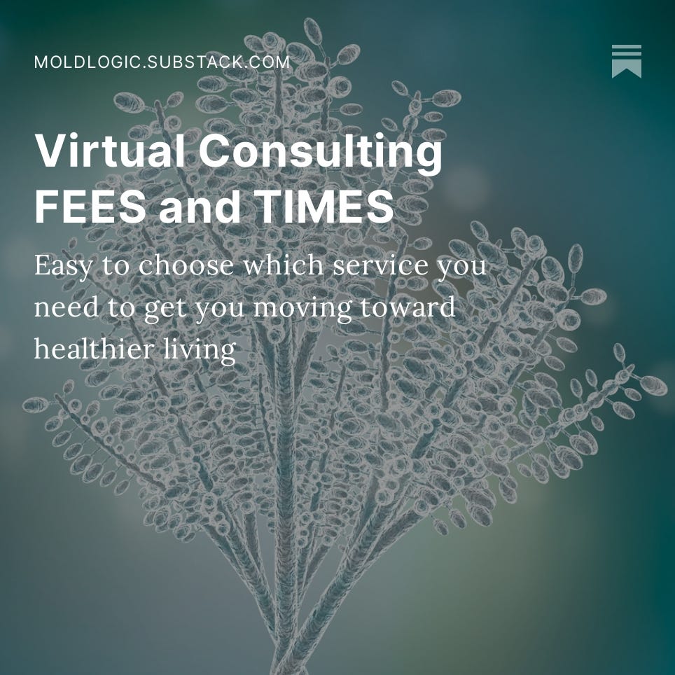 Virtual Consulting - by Scott Armour - Mold Logic