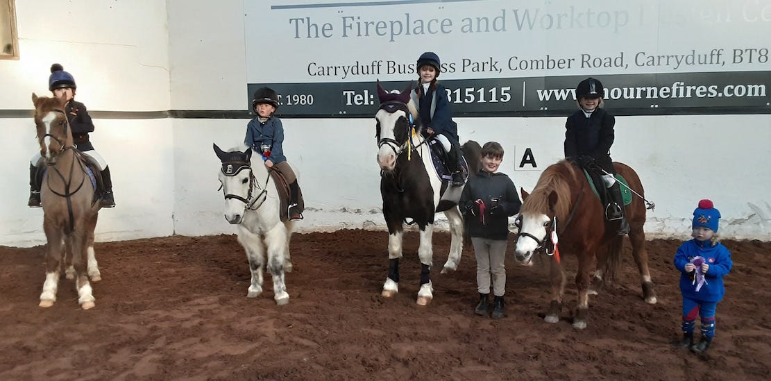 Minis make their mark at Mossvale - Horse&Field