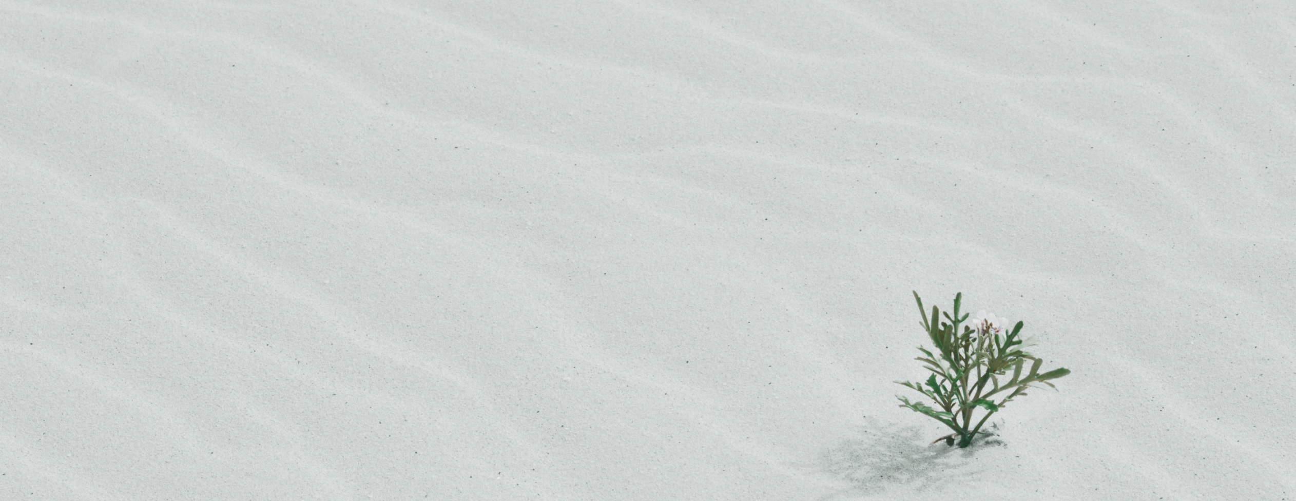 #3: Nacer, crecer, reproducirse y ¿morir?