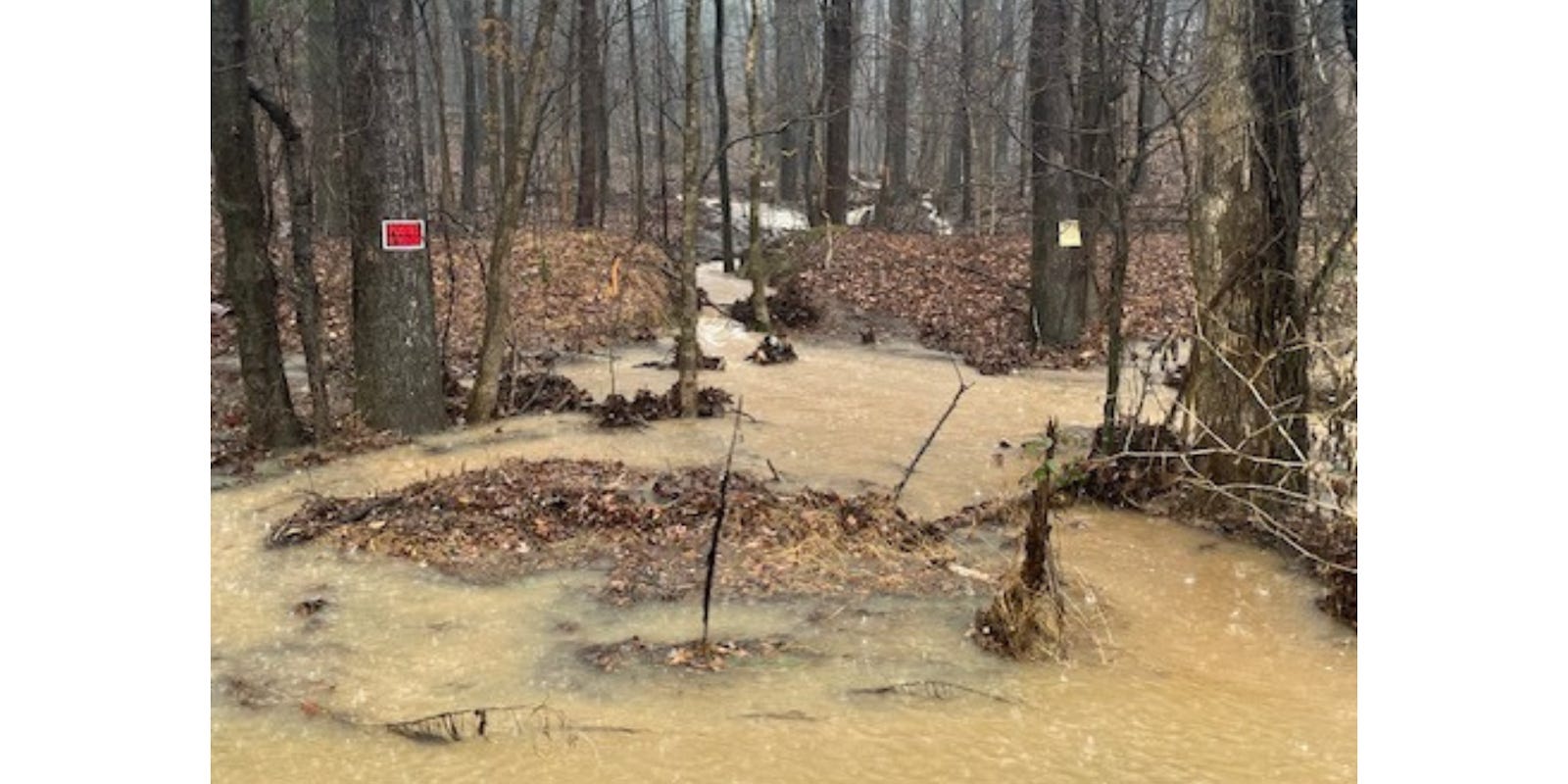 Recent storms open the floodgates of development worries