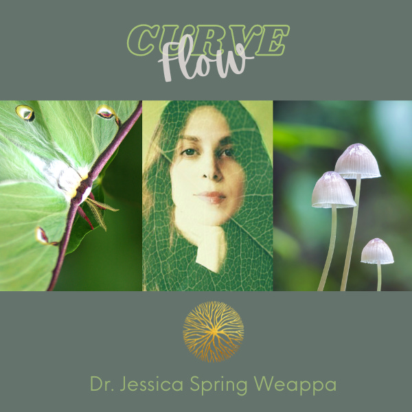 Welcome to Curve & Flow - by Jessica Spring Weappa, Ph.D.
