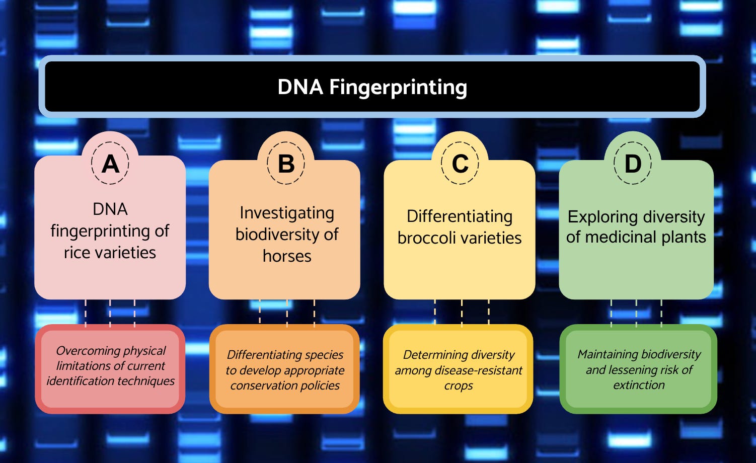 DNA Fingerprinting - by Srinitha and Nicanor of Numenor