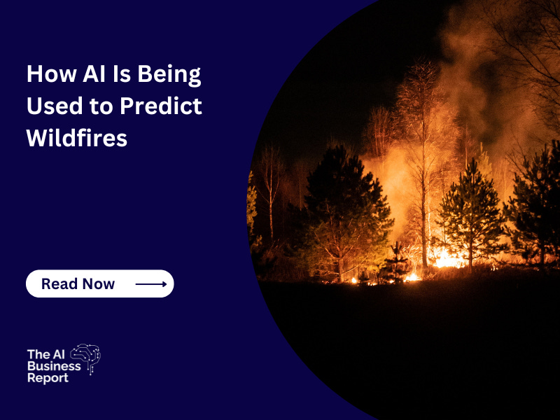 How AI Is Being Used to Predict Wildfires