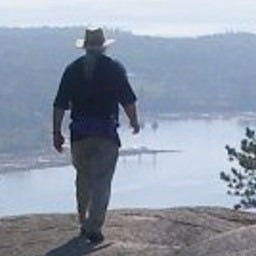 Sheldon Greaves | Substack