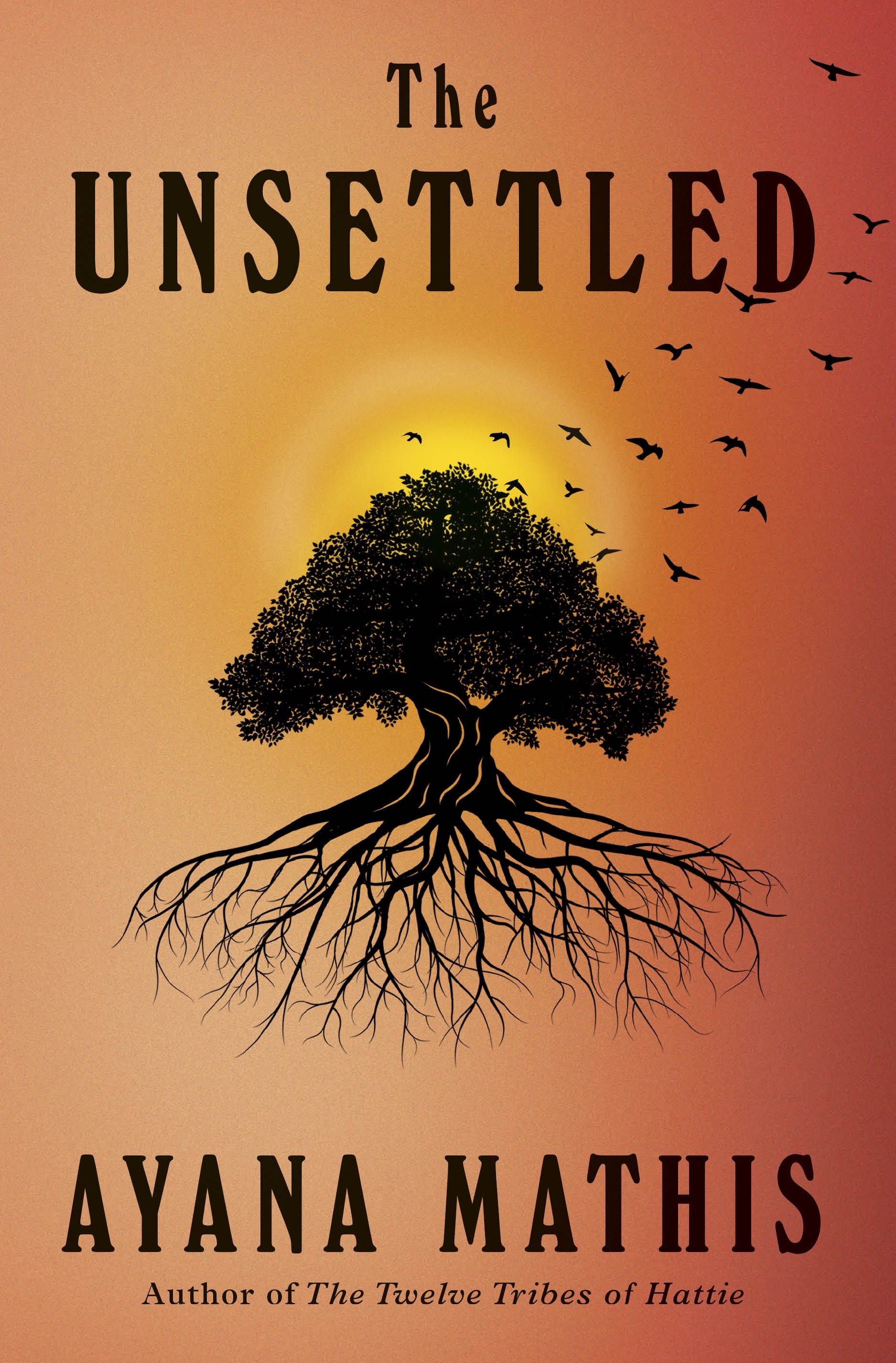 The Audacious Book Club: The Unsettled by Ayana Mathis