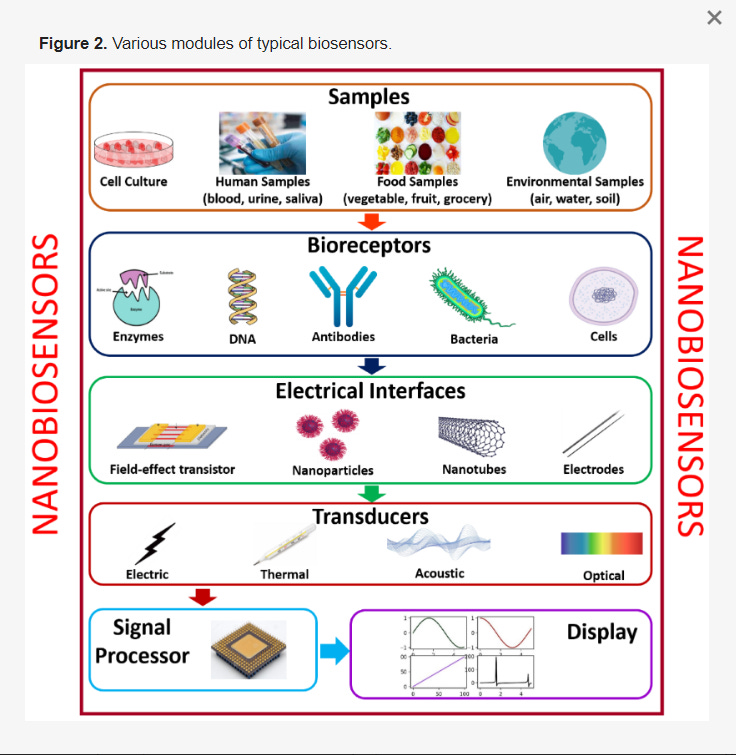 Optical Biosensors For Bidirectional Telemetry - Live Blood Analysis Of ...