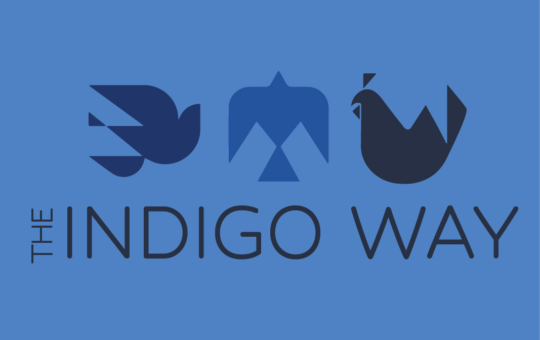 What is The INDIGO Way? - The INDIGO Collective