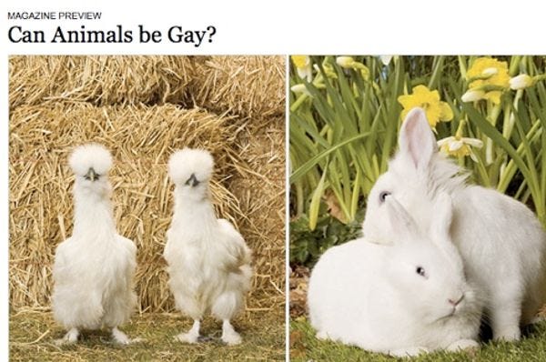 NYT Magazine Releases Big Expose On Politico & Mike Allen?