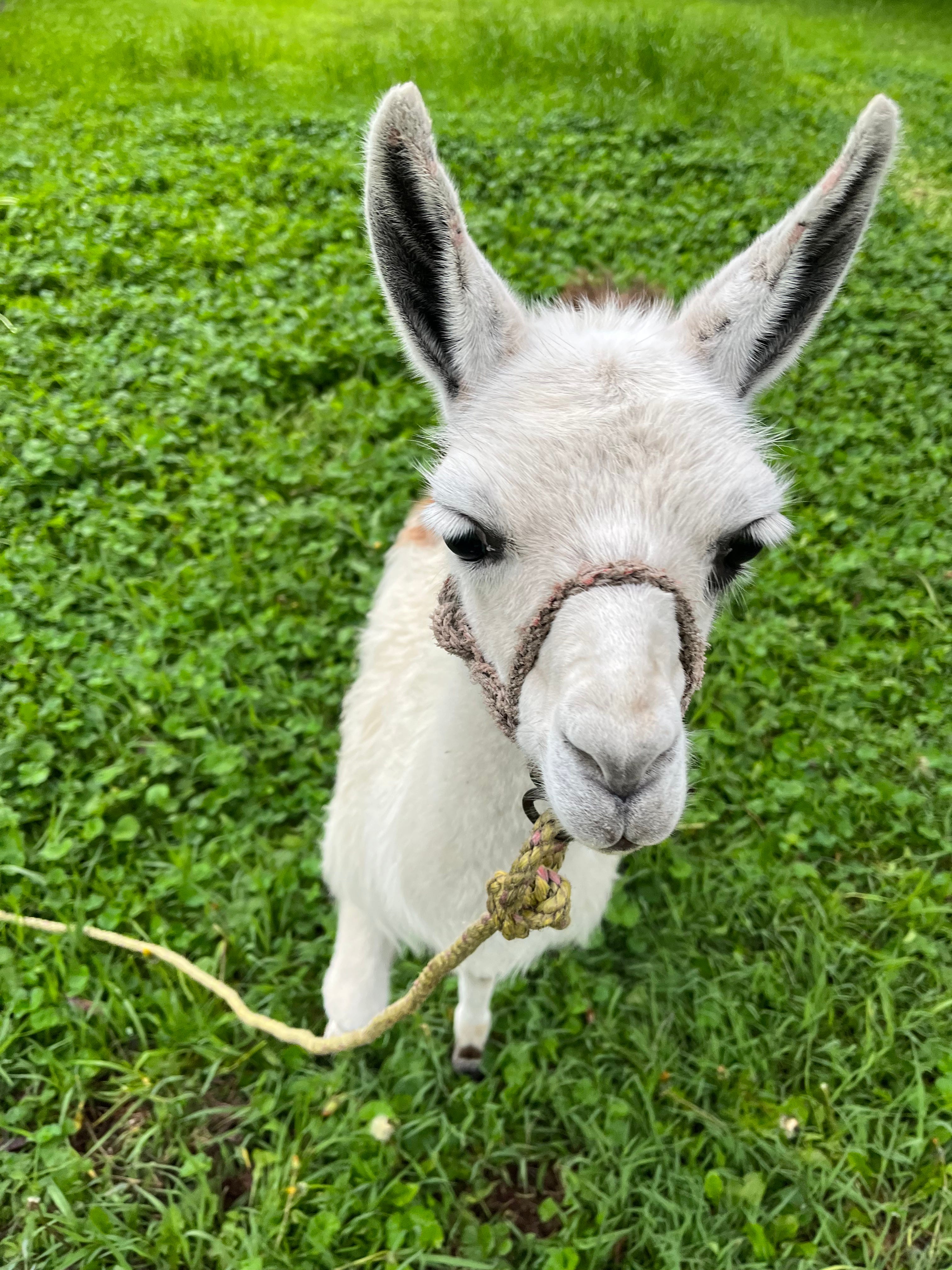 Layne Murphy | Substack