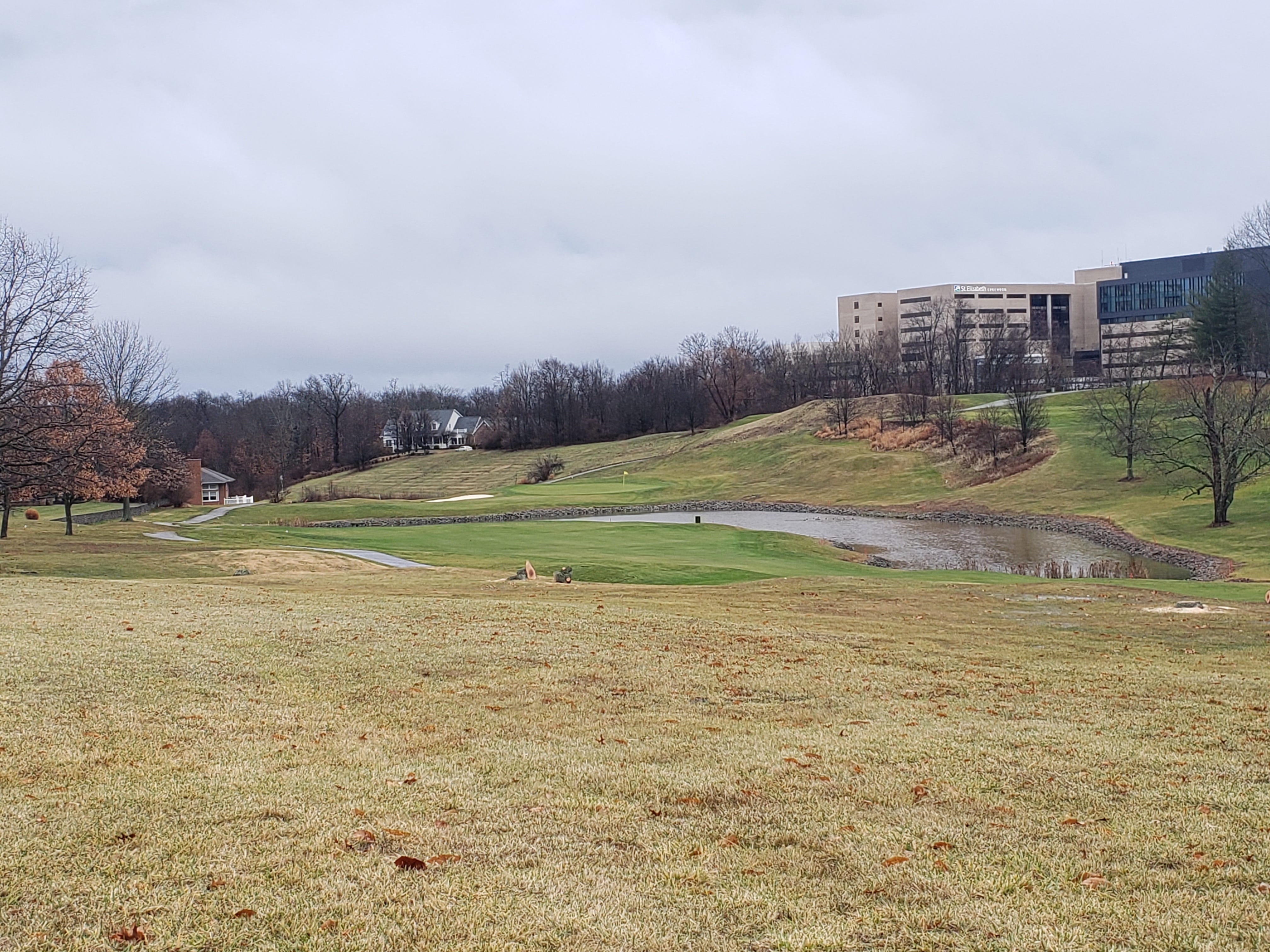 Tree Removal - by Summit Hills Country Club