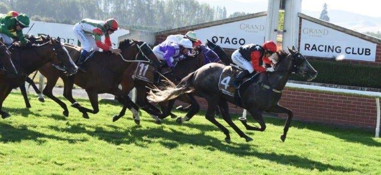 Special day for Southland racing industry at Wingatui