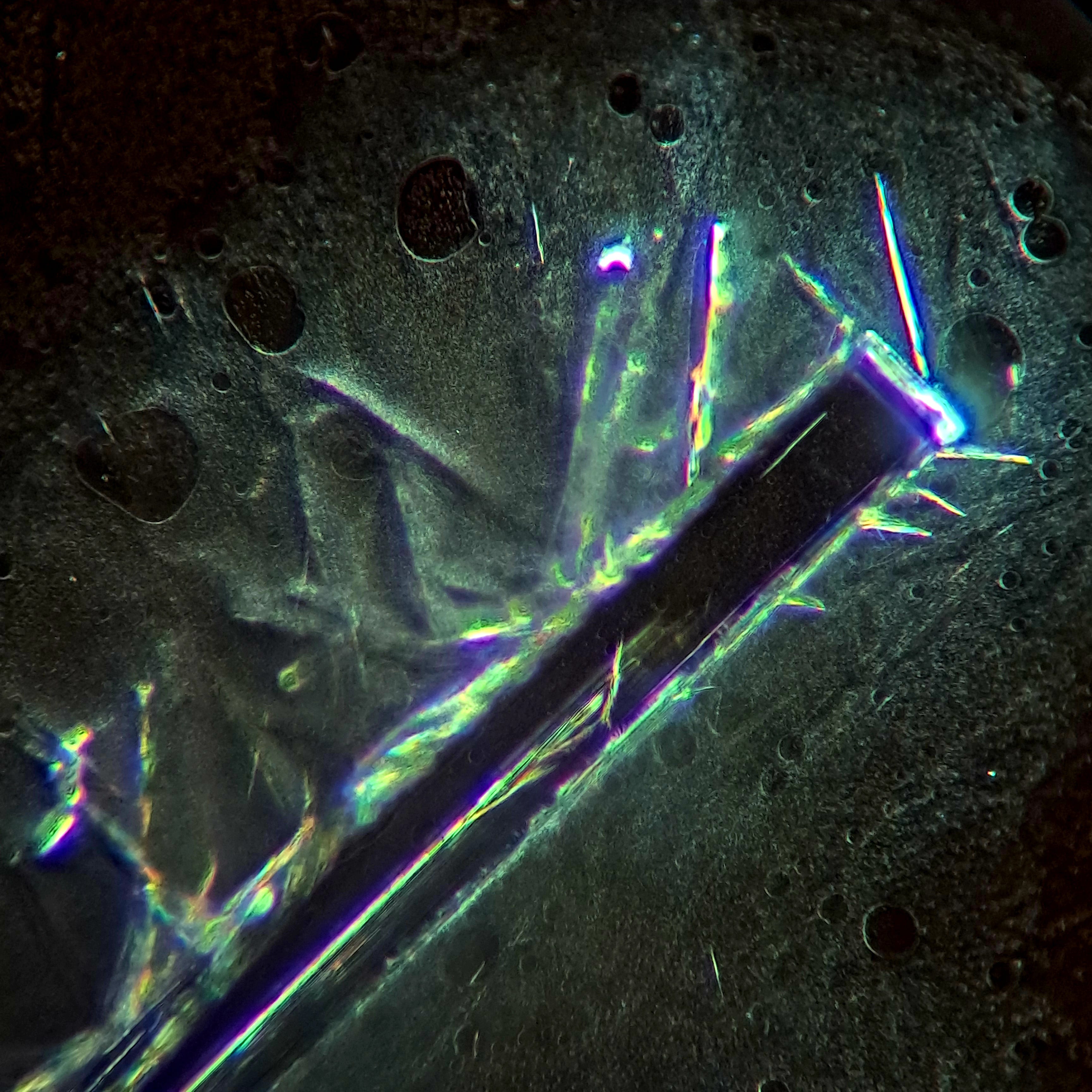 Old c19 test sample is up to new tricks - Will: Micronaut