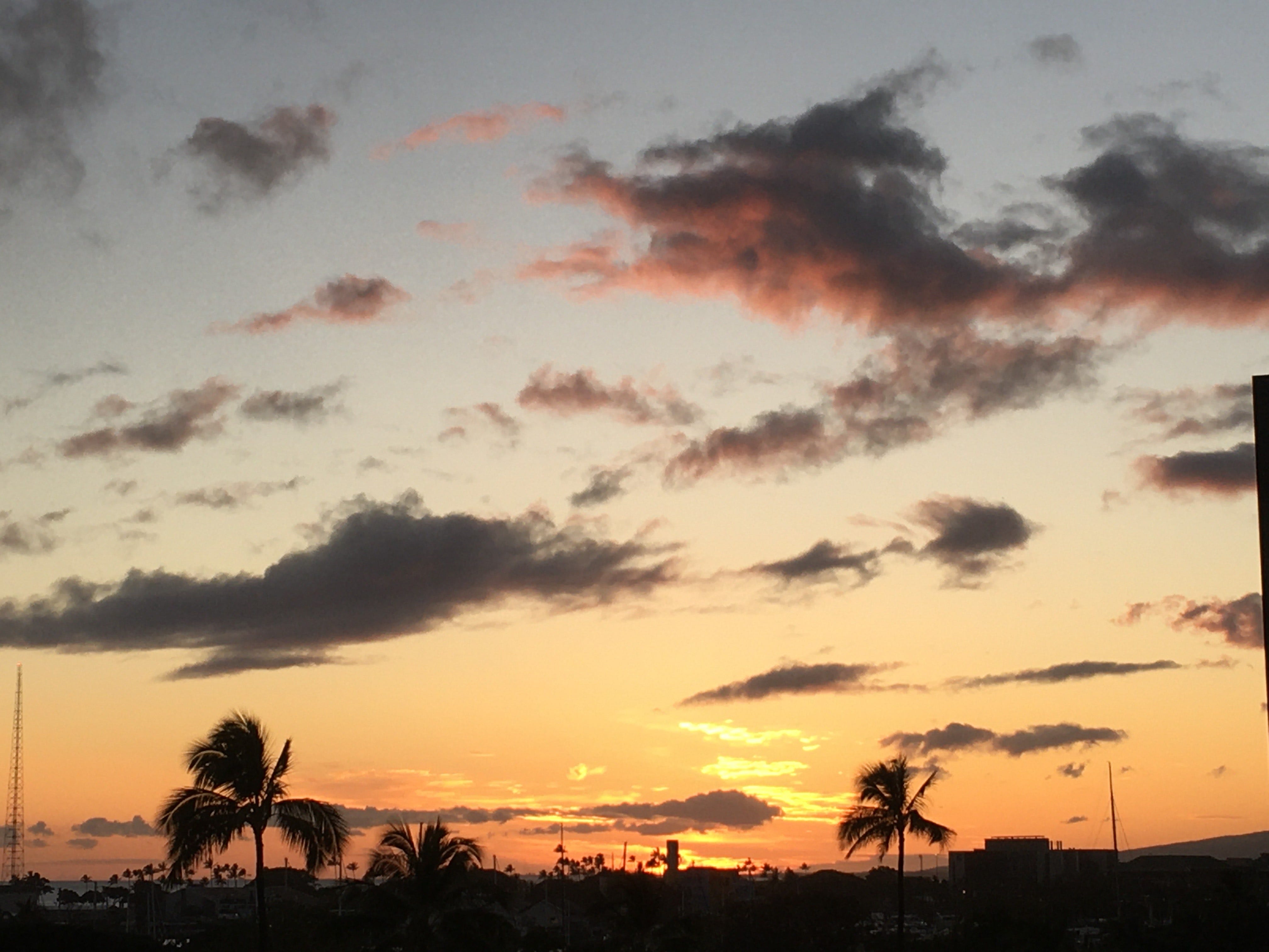 Grieving the Living - Rozzy Writes