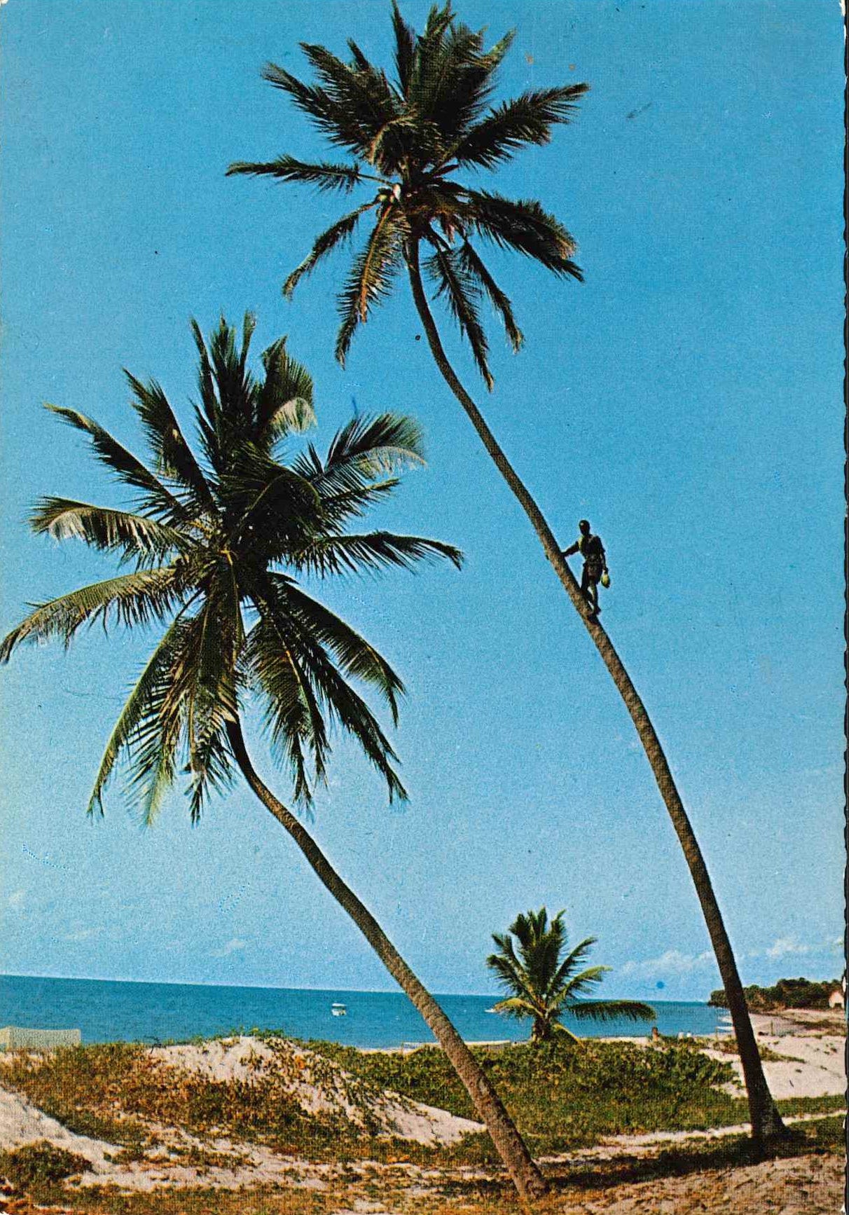 Meet the Kenyans! - by Stephan Sander-Faes