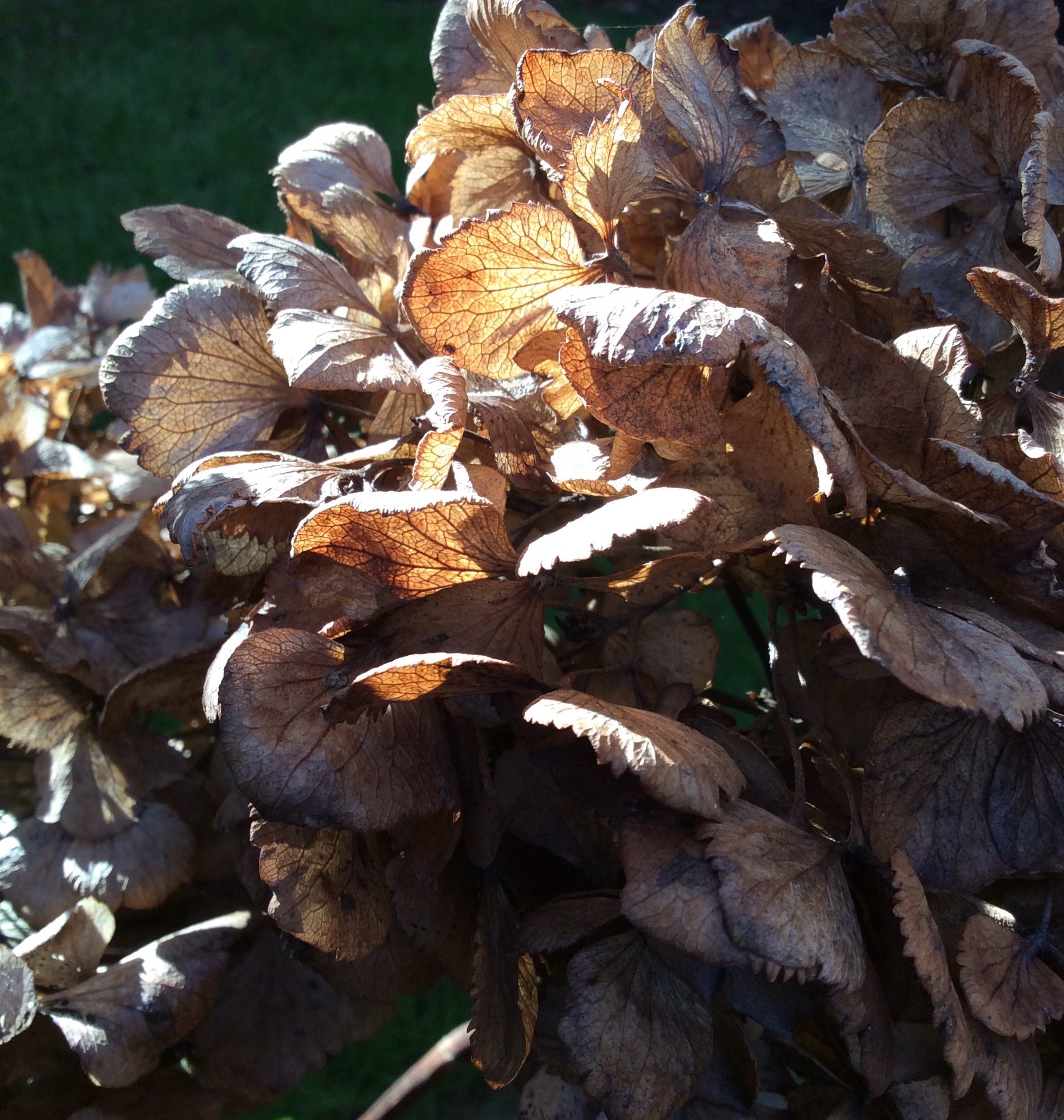 I Dreamed A Dream & It Didn't Work Out...