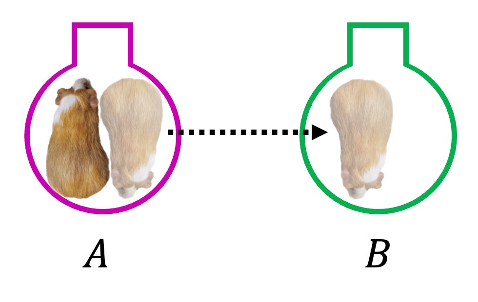 Guinea Pigs are Fermions -- Part 2 - by Dylan Black
