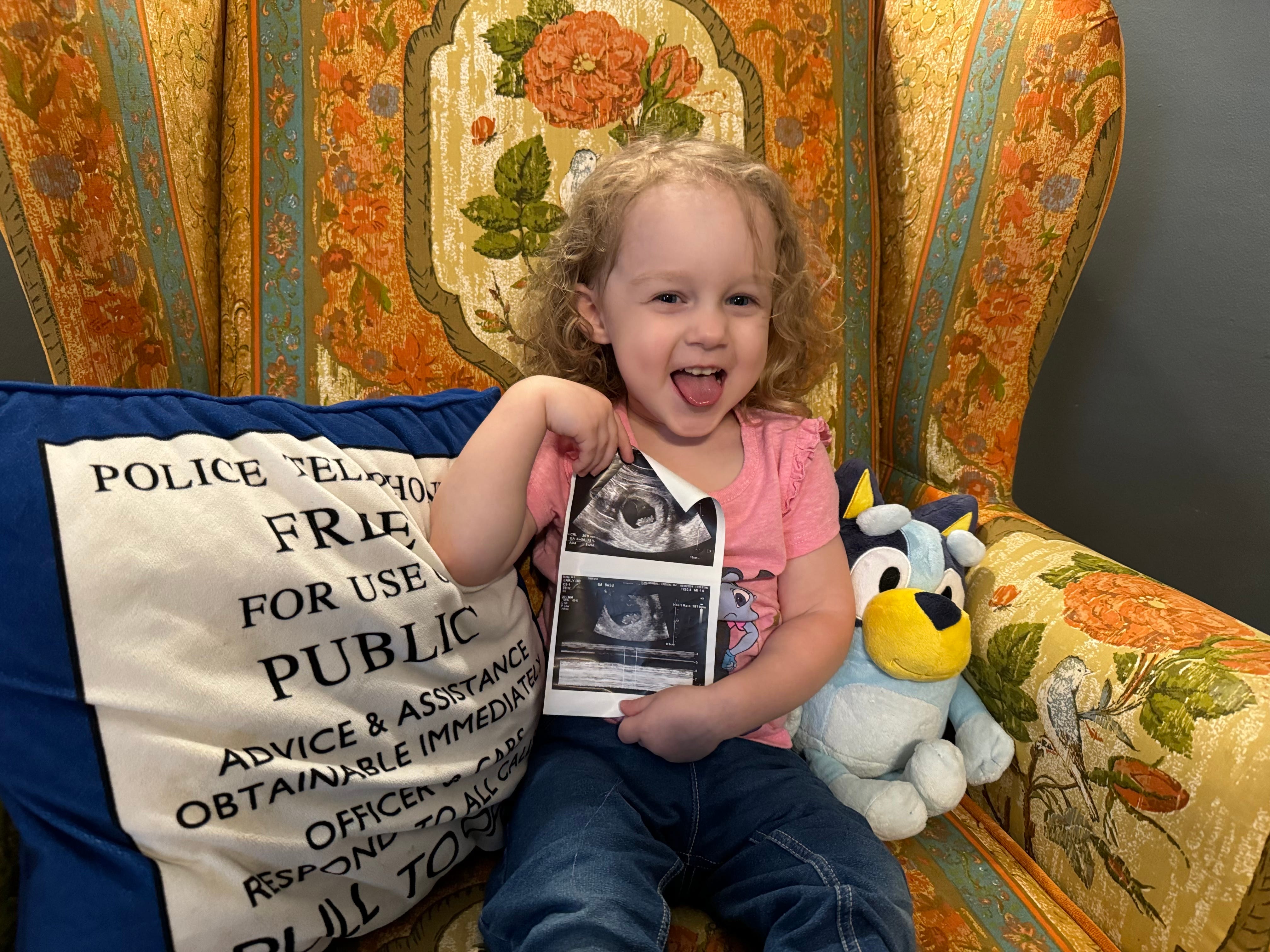 Gecko, Spider, & Writerly Things - by Austin Gragg